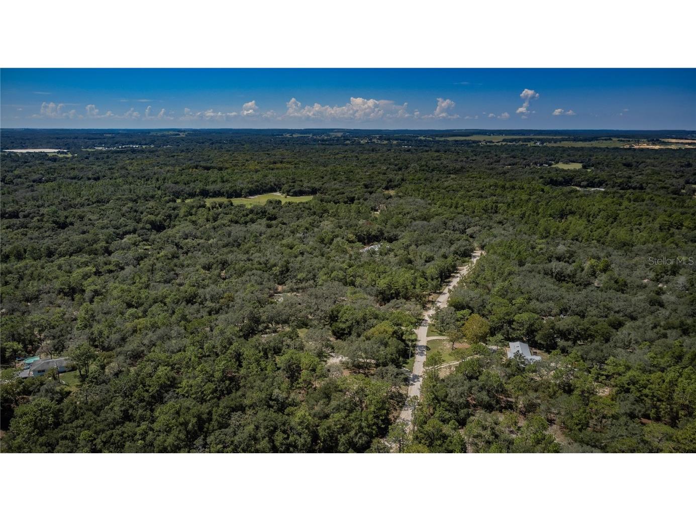 34299 Belt Drive, Dade City, FL, 33523 | MLS: U8213801 | Edina Realty