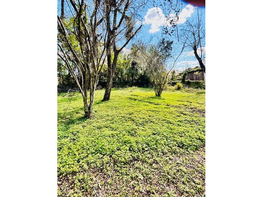 35441 Francine Drive, Zephyrhills, FL, 33541 | MLS: TB8411572 | Edina ...