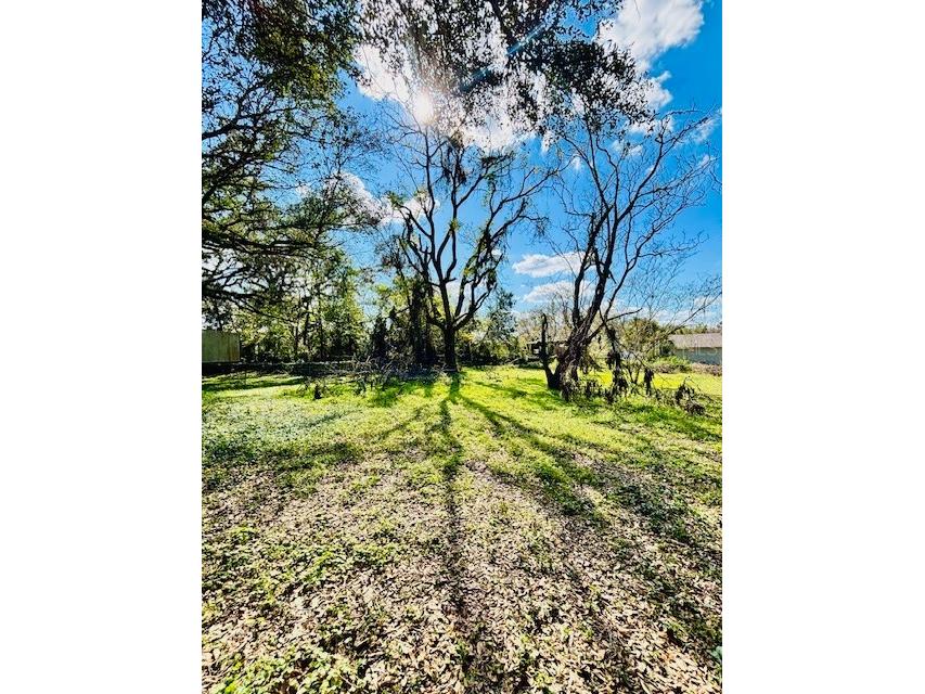 35441 Francine Drive, Zephyrhills, FL, 33541 | MLS: TB8411572 | Edina ...