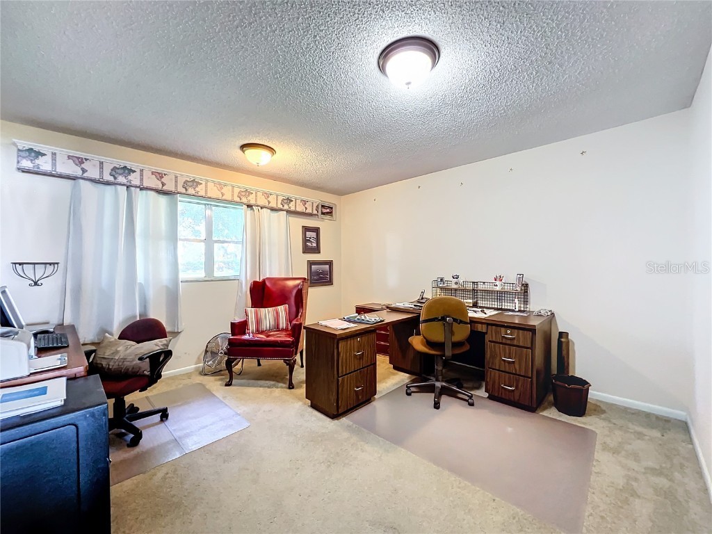 3909 Conine Drive E, Winter Haven, FL, 33881 | MLS: P4930755 | Edina Realty