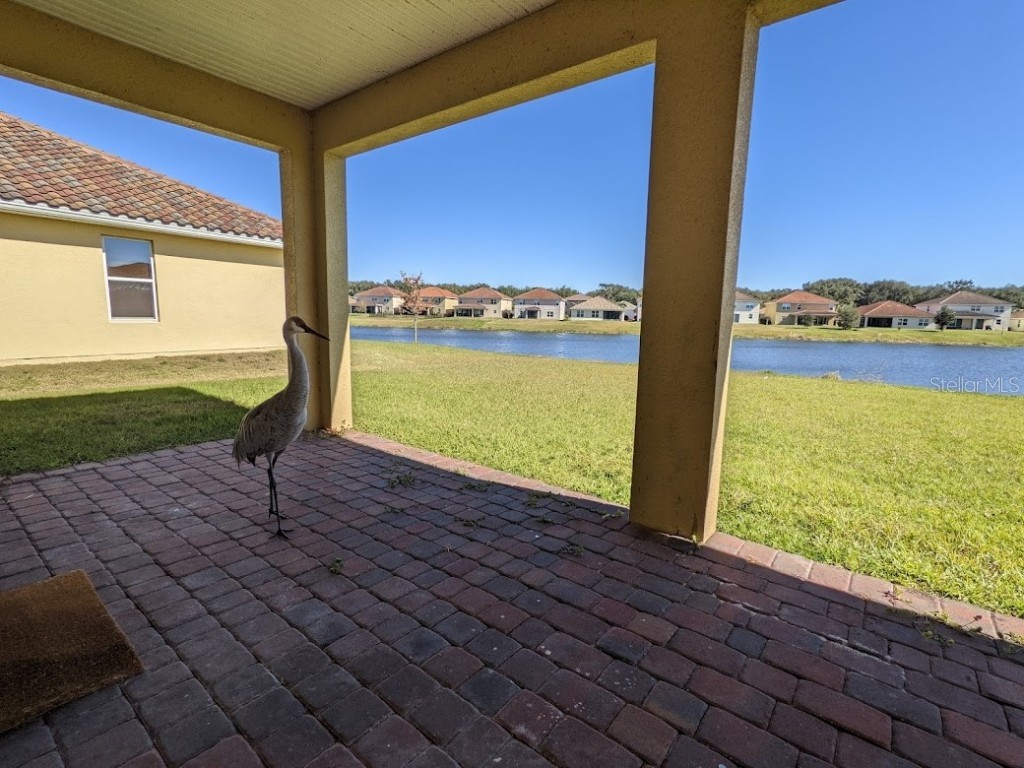 3961 Steer Beach Place, Kissimmee, FL, 34746 | MLS: S5062024 | Edina Realty