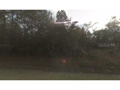 4245 Florence St, Hastings, FL, 32145 | MLS: FC300554 | Edina Realty