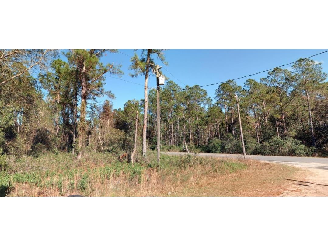 4700 Naomi Street, Hastings, FL, 32145 | MLS: A4576461 | Edina Realty