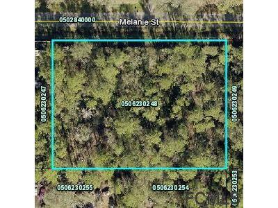 4725 Melanie Street, Hastings, FL, 32145 | MLS: FC280559 | Edina Realty