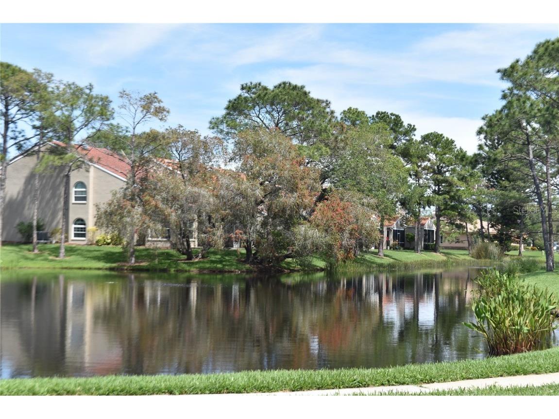 476 Santa Cruz Place NE #C, Saint Petersburg, FL, 33703 | MLS: U8234348 ...