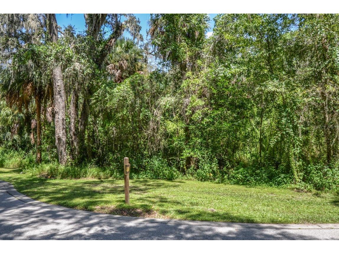 4808 Rambling River Road, Brandon, FL, 33511 | MLS: T3469034 | Edina Realty