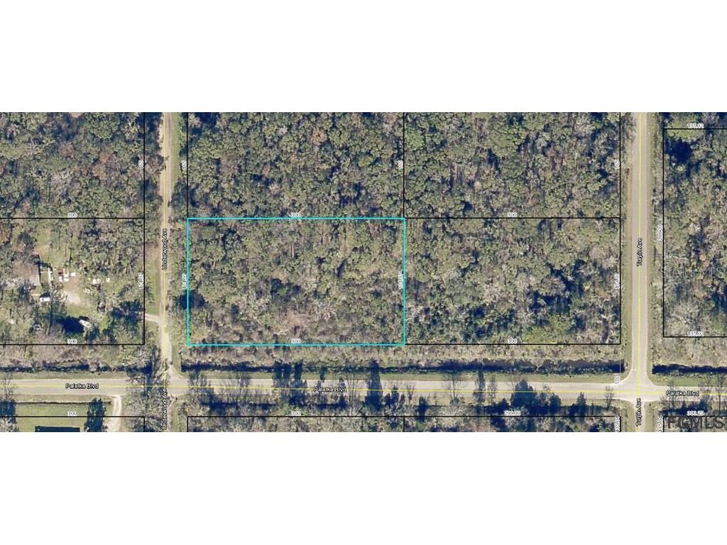 4930 Palatka Boulevard, Hastings, FL, 32145 | MLS: FC260698 | Edina Realty