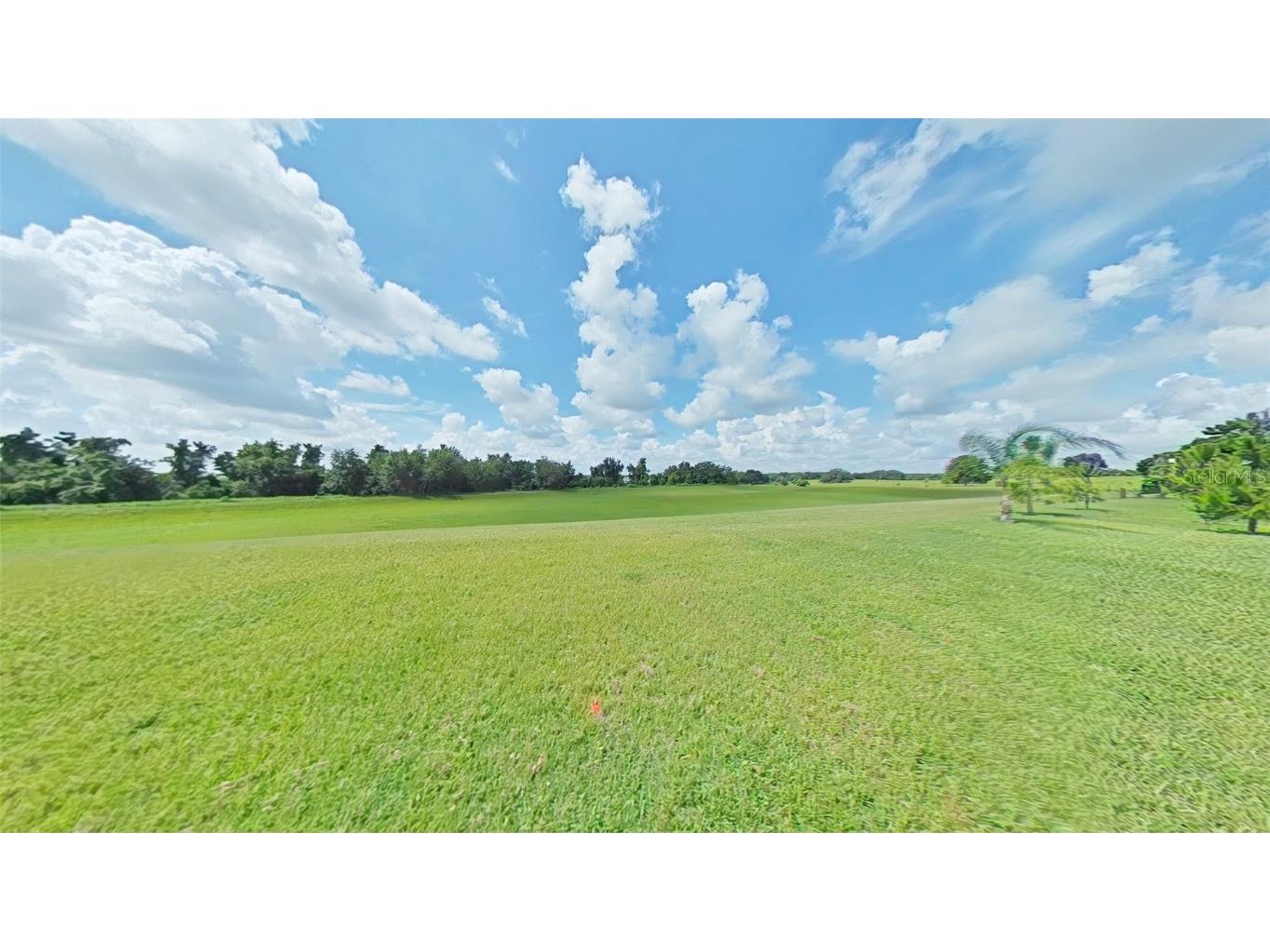514 Lake Sumner Drive, Groveland, FL, 34736 | MLS: G5080006 | Edina Realty