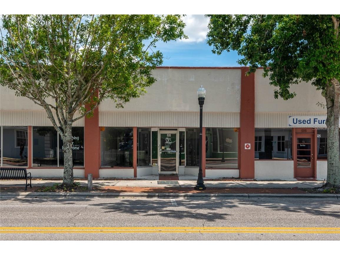 525 E Main Street, Bartow, FL, 33830 | MLS: B4901619 | Edina Realty