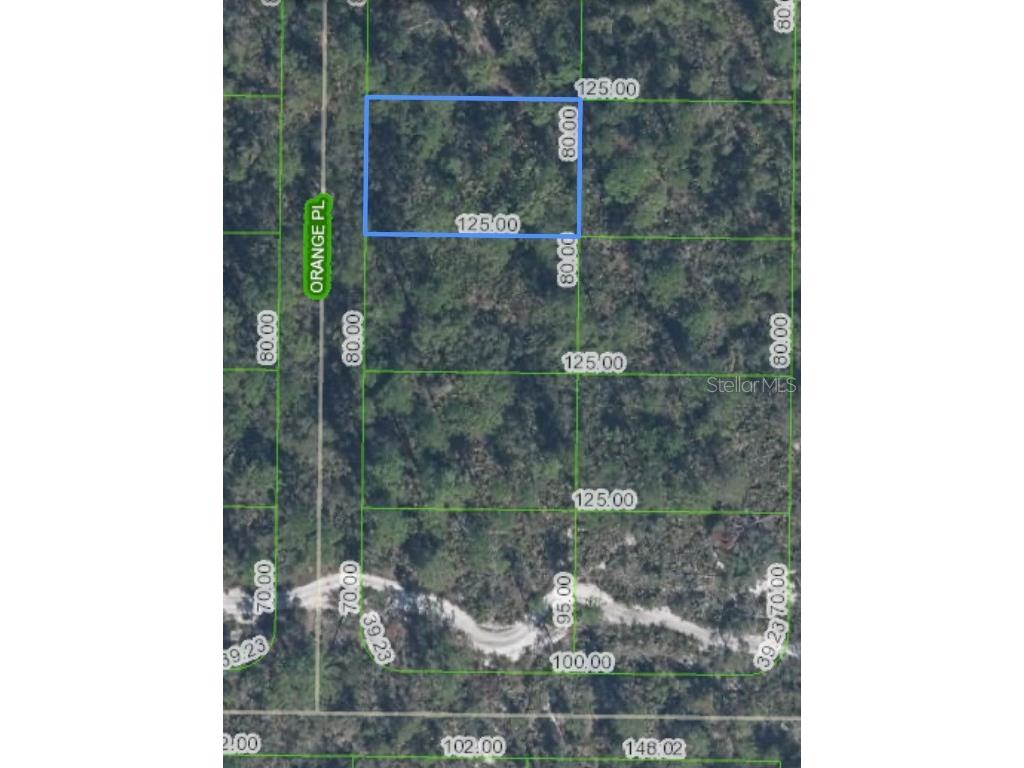 5518 Orange Place, Sebring, FL, 33875 | MLS: O6220380 | Edina Realty