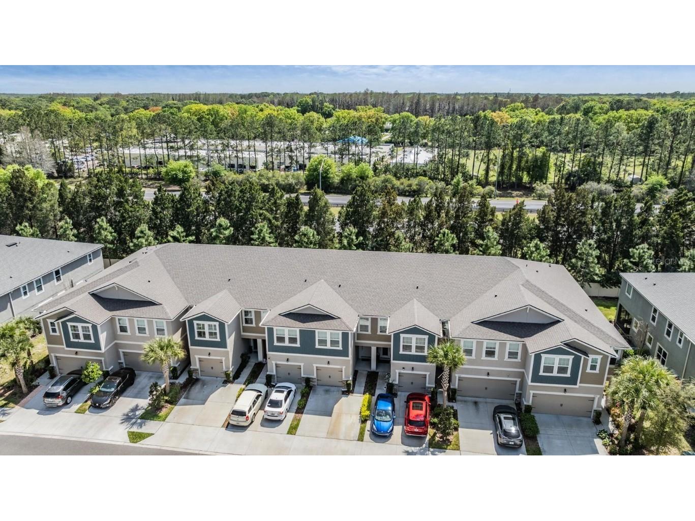 5948 Grand Sonata Avenue, Lutz, FL, 33558 | MLS: T3512547 | Edina Realty