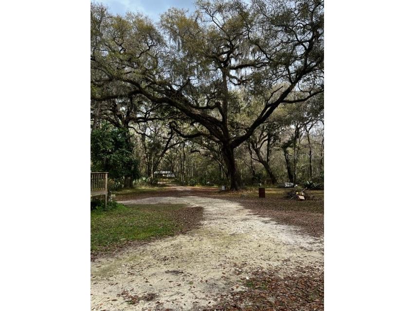 6306 SW 34 Street, Gainesville, FL, 32608 | MLS: GC512695 | Edina Realty