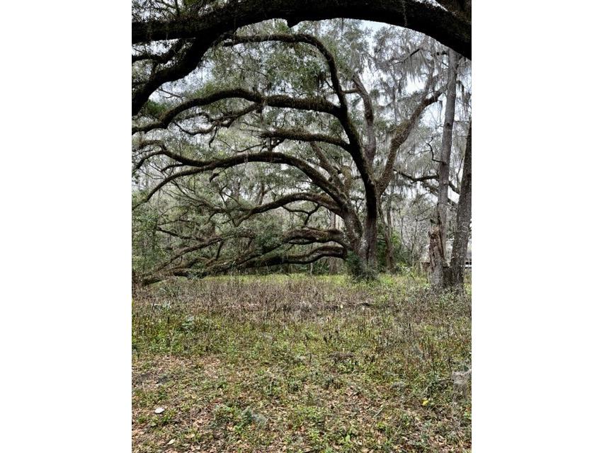 6306 SW 34 Street, Gainesville, FL, 32608 | MLS: GC512695 | Edina Realty