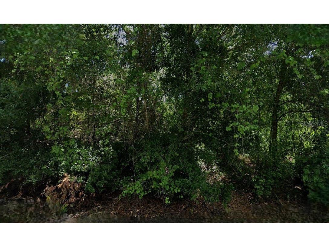 6810 Vanda Place, Sebring, FL, 33875 | MLS: O6293315 | Edina Realty