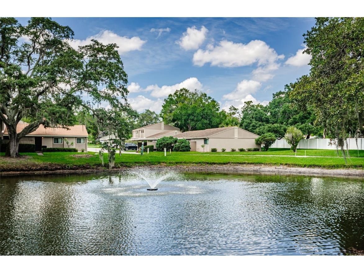 8610 Lake Isle Drive, Temple Terrace, FL, 33637 | MLS: T3536139 | Edina ...