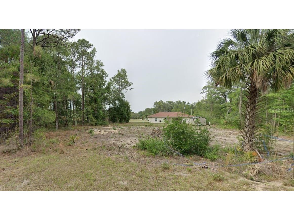 9761 W Watermelon Lane, Crystal River, FL, 34428 | MLS: O6199199 ...