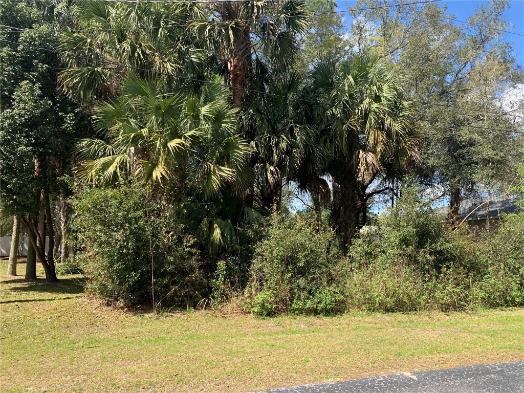 Lot 13 NE 130th Court, Silver Springs, FL, 34488 | MLS: OM674382 ...