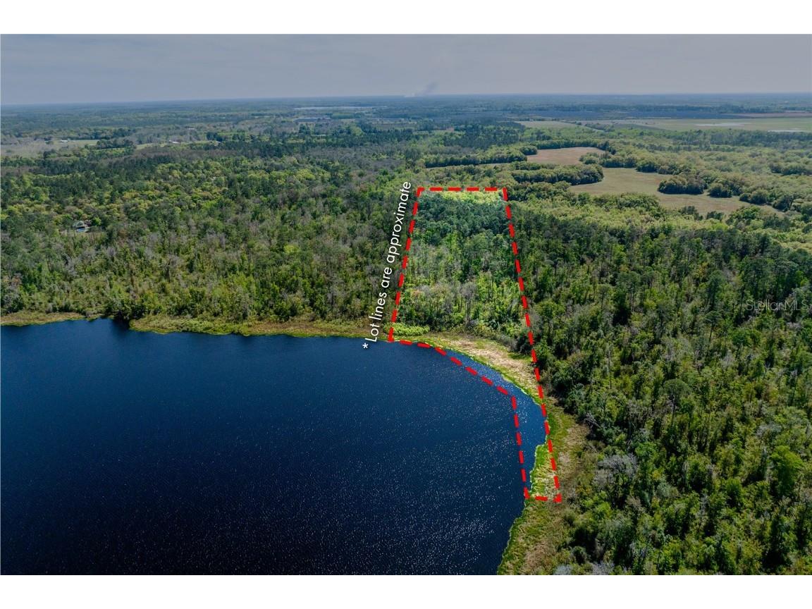 TBD Pine Tree Lane, Melrose, FL, 32666 | MLS: GC520151 | Edina Realty