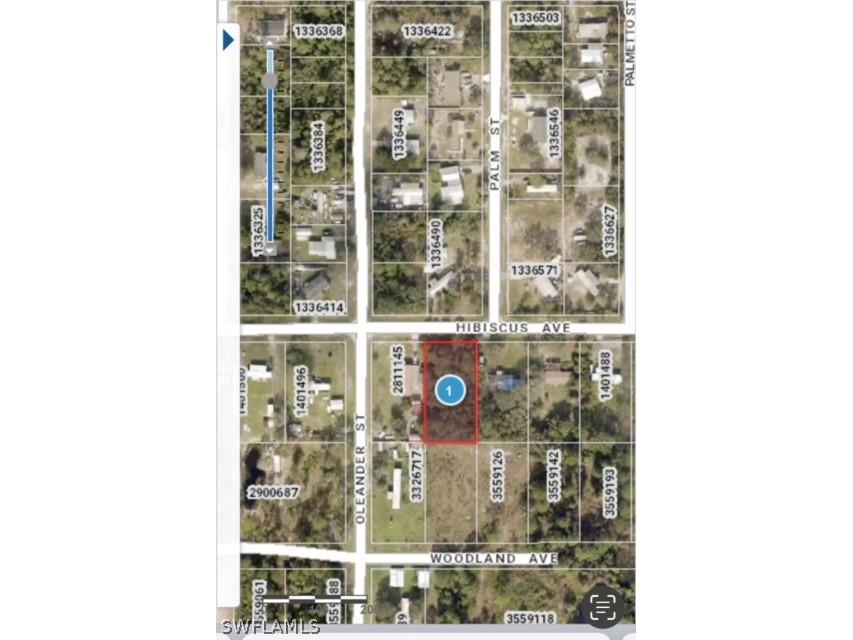 0 Virginia(Owner Finance) Avenue, Paisley, FL, 32767 | MLS: 224035186 ...