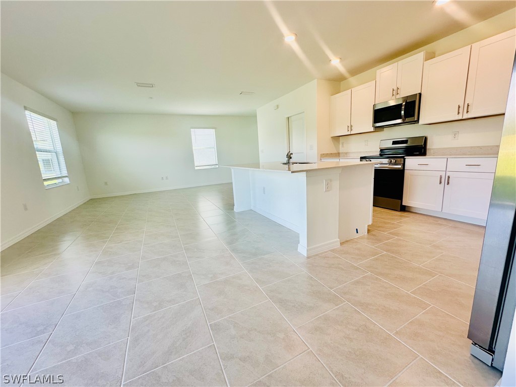 17343 Monte Isola Way, North Fort Myers, FL, 33917 | MLS: 224051886 ...