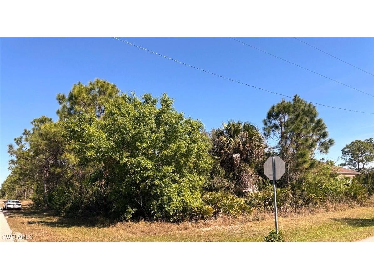 3110 33rd Street W, Lehigh Acres, FL, 33971 | MLS: 225022091 | Edina Realty