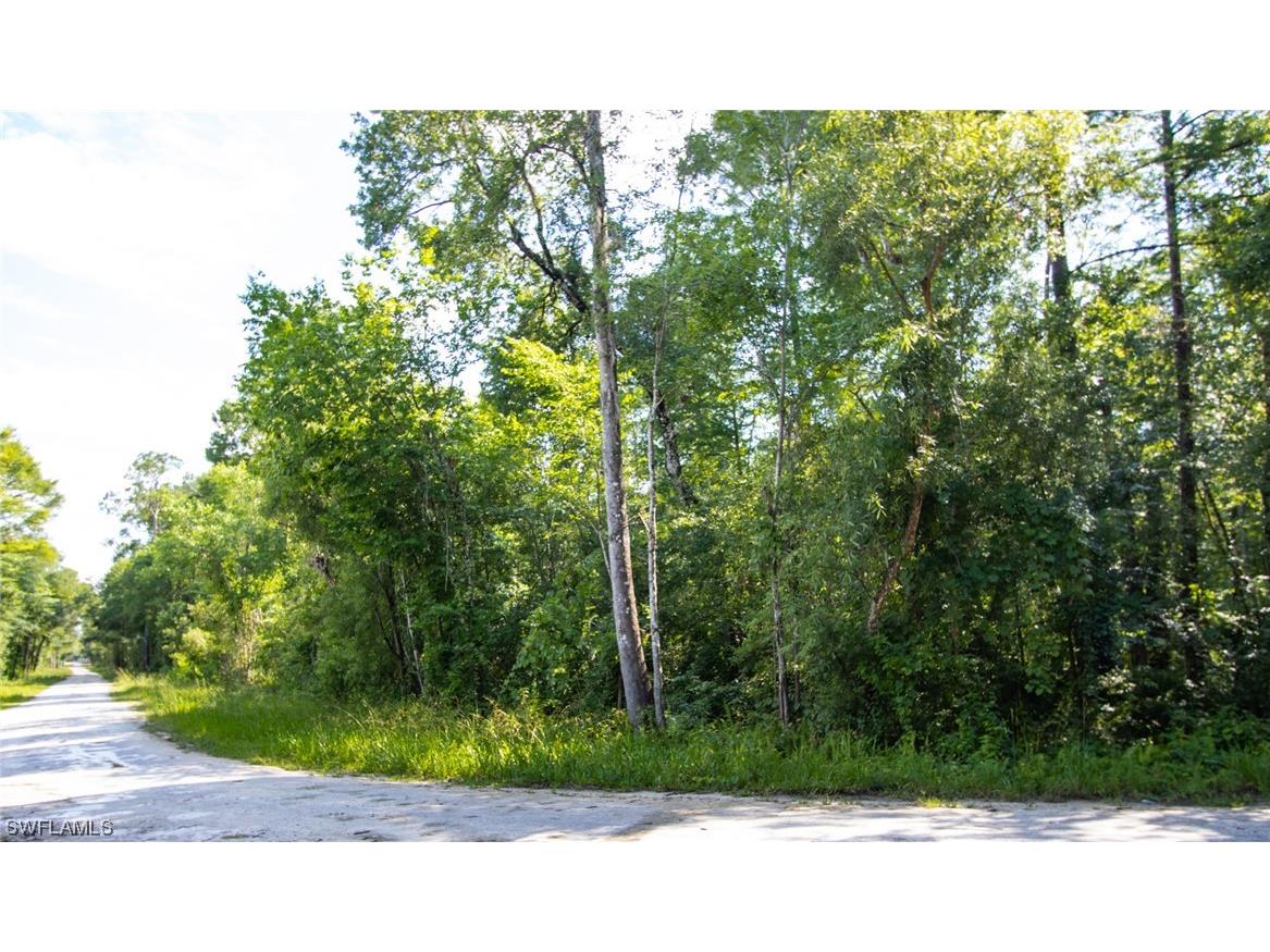 33464 Packingham Drive, Webster, FL, 33597 | MLS: 223045302 | Edina Realty