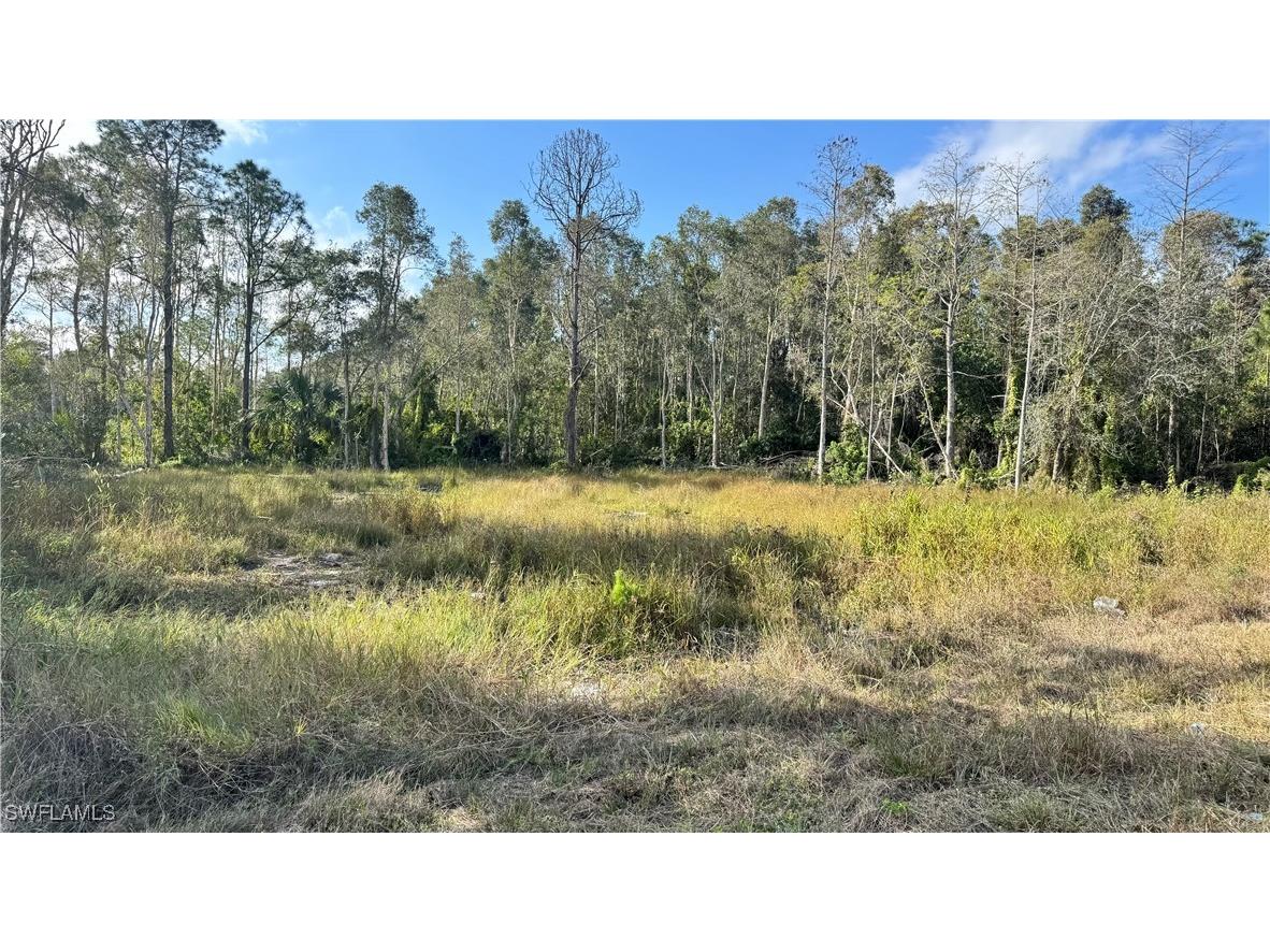 630 Ladd Street, Lehigh Acres, FL, 33974 | MLS: 225002188 | Edina Realty