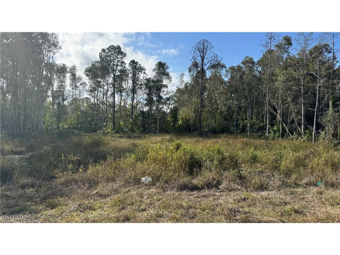 630 Ladd Street, Lehigh Acres, FL, 33974 | MLS: 225002188 | Edina Realty